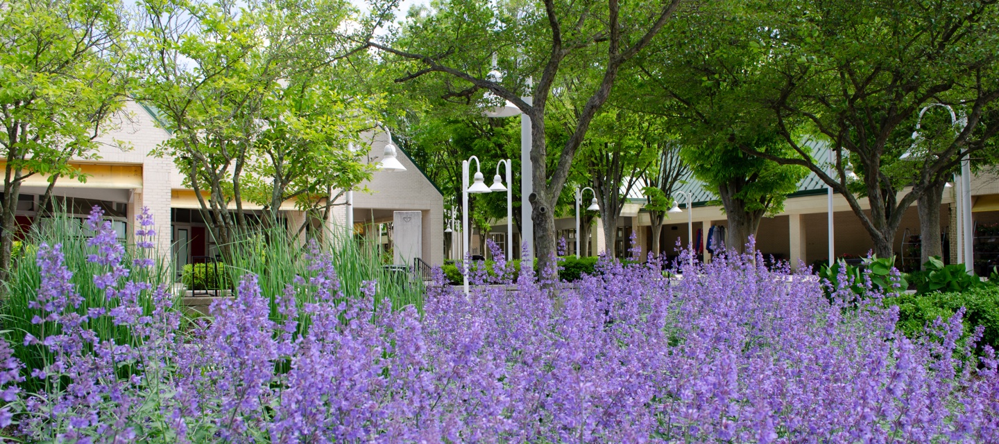 About Us | Hickory Ridge Community Association